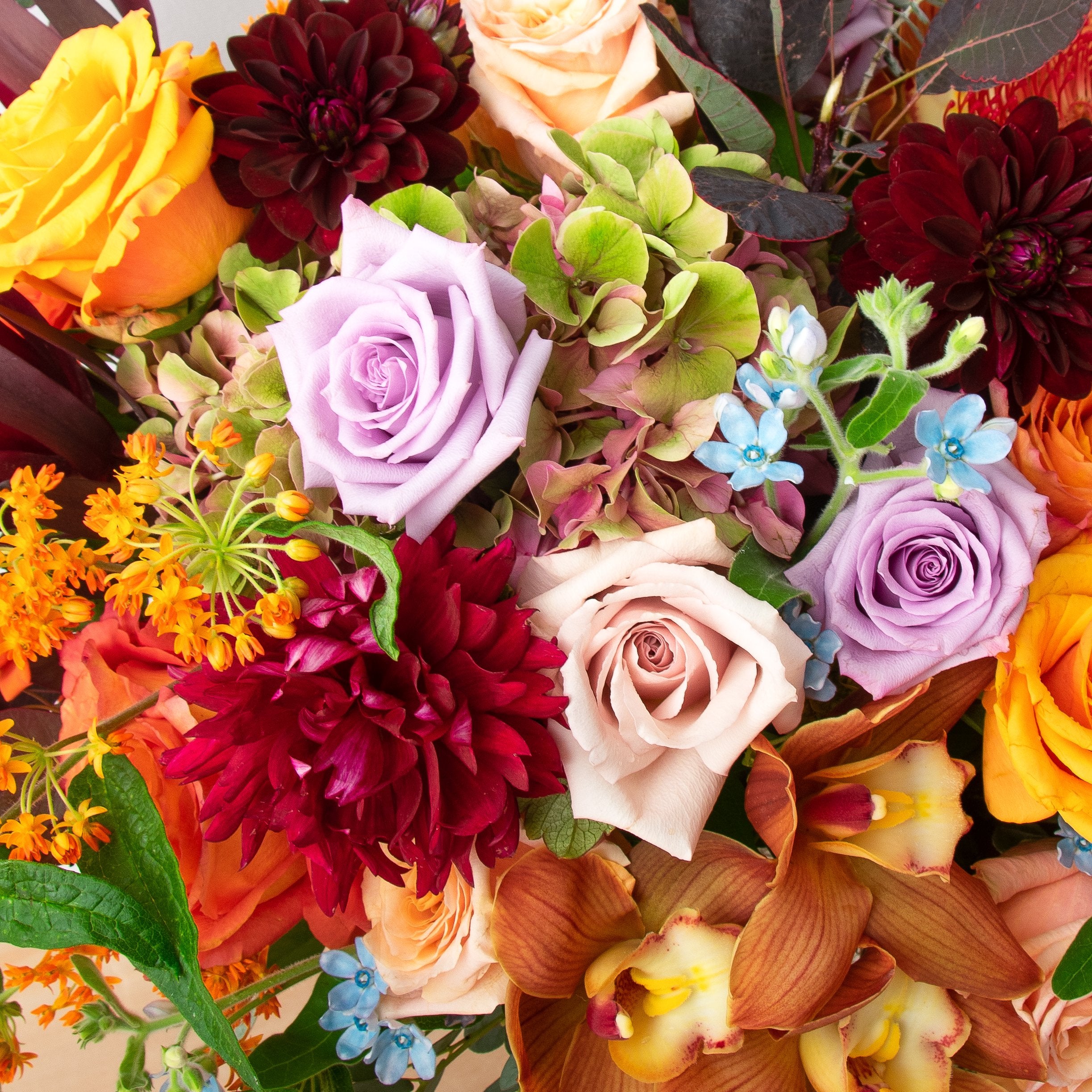 Fall Flowers NYC, Flower Shops NYC – Scotts Flowers NYC